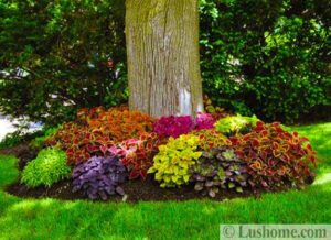 Perfect Tree Rings, 50 Bright Landscaping Ideas for Your Grounds