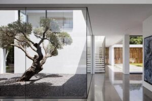 Perfect Tree Rings, 50 Bright Landscaping Ideas for Your Grounds