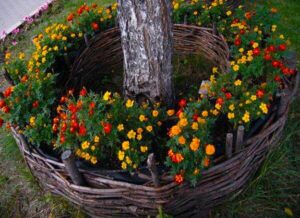 Perfect Tree Rings, 50 Bright Landscaping Ideas for Your Grounds