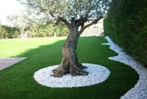 Perfect Tree Rings, 50 Bright Landscaping Ideas for Your Grounds