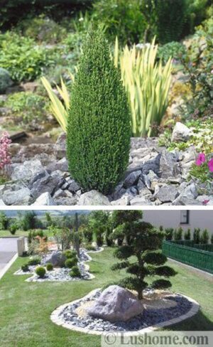 Perfect Tree Rings, 50 Bright Landscaping Ideas for Your Grounds