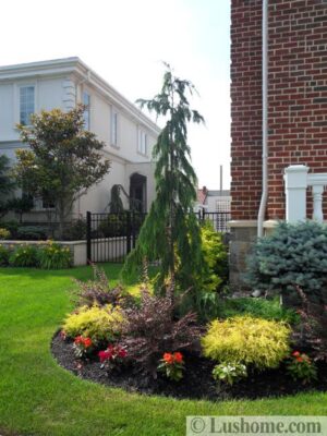 Perfect Tree Rings, 50 Bright Landscaping Ideas for Your Grounds