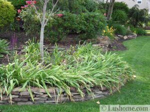 Perfect Tree Rings, 50 Bright Landscaping Ideas for Your Grounds