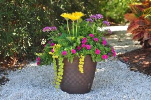 Beautiful Planters, How to Add Visual Layers and Style to Decorating ...